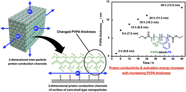 Proton conductivity dependence on the surface polymer thickness of core ...