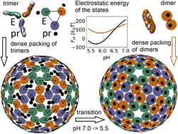 Packing and trimer-to-dimer protein reconstruction in icosahedral viral ...