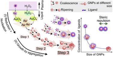 Precise size-control and functionalization of gold nanoparticles ...