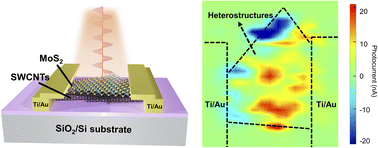 A polarization-sensitive photothermoelectric photodetector based on ...