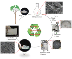 Facile sulfation of cellulose via recyclable ternary deep eutectic ...
