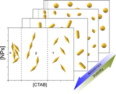 Gold nanoparticle shape dependence of colloidal stability domains ...