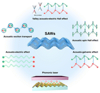 Surface acoustic wave induced phenomena in two-dimensional materials ...