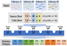 Construction of a scalable DNA computing nano-system for large-scale ...