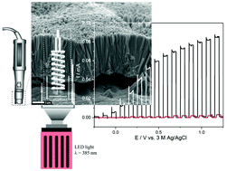 TiO2 nanocrystal rods on titanium microwires: growth, vacuum annealing ...
