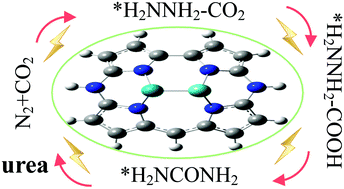 Double metal synergistic synthetic urea: an electrocatalytic study ...