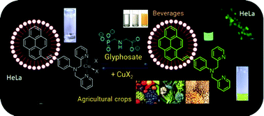 A pyrene-based ratiometric probe for nanomolar level detection of ...