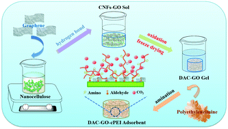 A stable and easily regenerable solid amine adsorbent derived from a ...