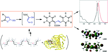 Synthesis and characterization of polymethine dyes carrying ...