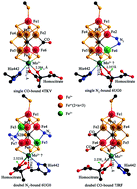 Comparisons of bond valences and distances for CO- and N2-bound ...