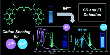 Dual-channel recognition of Al3+ and Cu2+ ions using a chiral pyrene-based fluorescent sensor ...