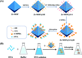 Preparation of a boronate affinity-functionalized metal–organic ...