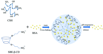 CSH/SBE-β-CD nanoparticles: controlled synthesis and application for ...