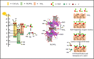 Subsurface and solid solution-type defect engineering in the CoCr2O4 ...