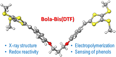 Studies of a bola-type bis(dithiafulvene) molecular system: synthesis ...