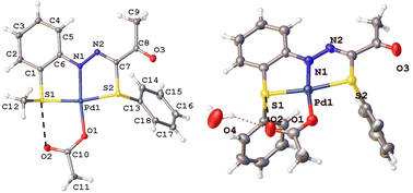 Effect of chalcogen bonding interactions on molecular structures ...