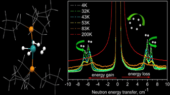 On the energetics of binding and hydride exchange in the RuH2(H2)2[P ...
