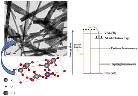 Boosting charge migration in V2O5 nanorods by niobium doping for ...