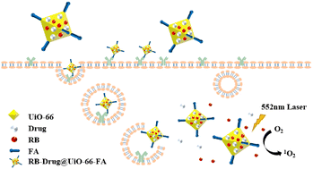 Folic acid modified UiO-66 nano drug carrier for combination therapy ...