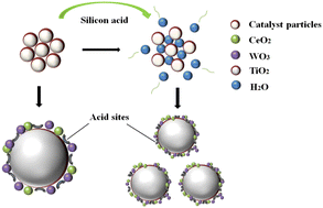 The SCR reaction and mechanism of a silicic acid modified Ce-W/TiO2 ...