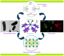 A hemilabile 2-(2′-pyridyl)-imidazole based nickel(ii) complex: proton ...