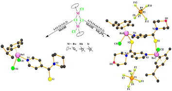 Influence of counterions on the formation of supramolecular platinum ...