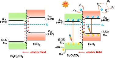 A novel S-scheme heterojunction based on 0D/3D CeO2/Bi2O2CO3 for the ...