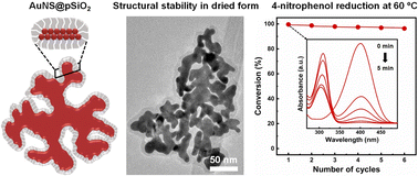 Encapsulation of atomically thin gold nanosheets within porous silica ...