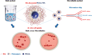 Synthesis of hyaluronic acid core–shell nanoparticles via simple ...