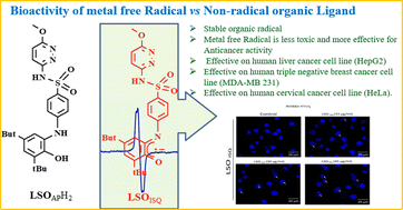 Biological activity of non-radical vs. stable radical of a pyridazine ...