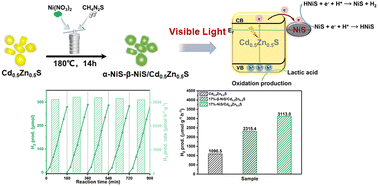 α-NiS–β-NiS growth on Cd0.5Zn0.5S formed Schottky heterojunctions for ...