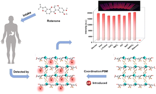 An Eu3+-functionalized metal–organic framework (Eu@Zn-MOF) for the ...