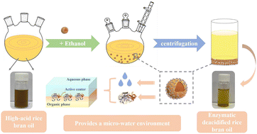 Synthesis of lipase-hydrogel microspheres and their application in ...