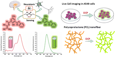 Fluorometric detection of a chemical warfare agent mimic (DCP) using a ...