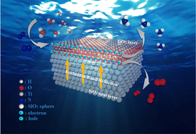 Enhanced photocatalytic activity of titanium dioxide in nitrogen ...