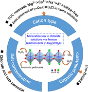 The mineralization ability of a chloride-resistant γ-Cu2(OH)3Cl Fenton ...