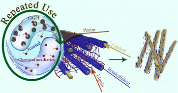 A cleaning and reusable biochemical degumming method for hemp fibers ...