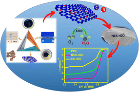 Scalable production of reduced graphene oxide via biowaste valorisation ...