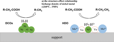 Hydrodeoxygenation of oleic acid over NiMo bimetallic catalysts ...