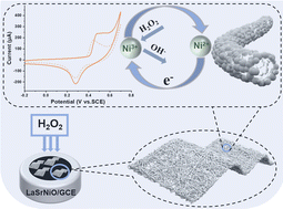 Ultrasensitive hydrogen peroxide electrochemical sensor based on dual ...