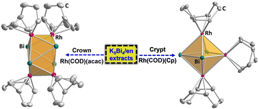 Capture of [Bi4]6− and [Bi3]5− anions by [Rh(L)]+ (L = COD) cations in ...