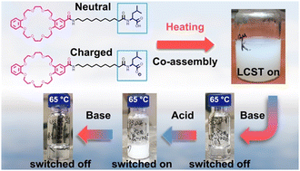 pH-Responsive lower critical solution temperature behaviour of a ...