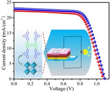 Quinoidal-type ThBF-based perovskite/HTL interface materials for efficient and stable perovskite ...