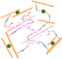 One-pot preparation of algae-based phase change fibers with a dynamic ...
