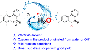 Direct use of hydroxyl ions as an oxygen source for oxidation of ...