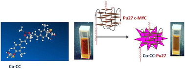 Cobalt(ii)–curcumin cysteine conjugate as c-MYC promoter G-quadruplex ...