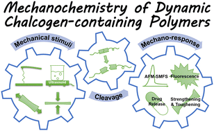 Mechanochemistry of dynamic chalcogen-containing polymers: a minireview ...
