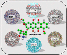 How does aggregation of doxorubicin molecules affect its solvation and ...