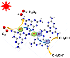 Surface reconstructed polymeric carbon nitride with promoted carrier ...