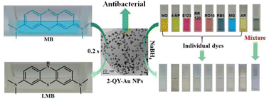 In situ formation of gold nanoparticles@supramolecular hydrogels with ...